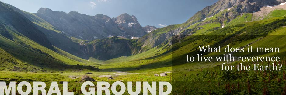 The Moral Urgency of Climate Action - Davis Vanguard