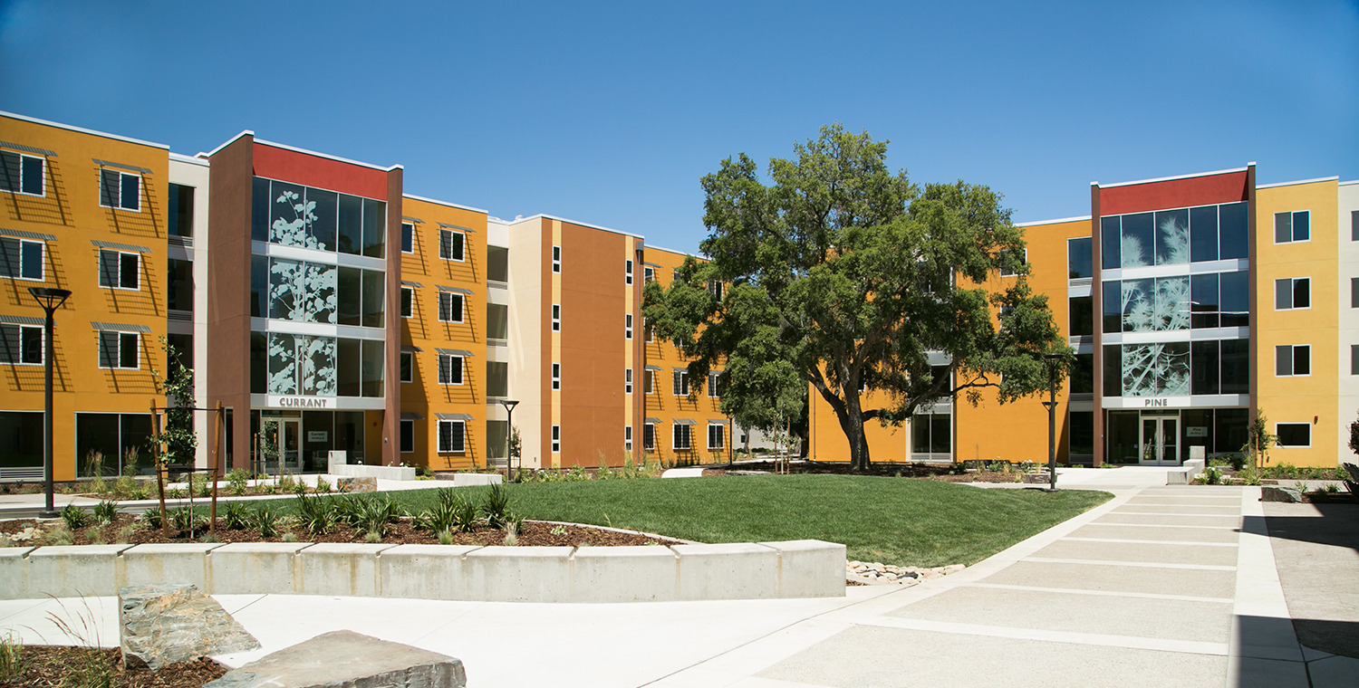 Housing – The Student Perspective - Davis Vanguard