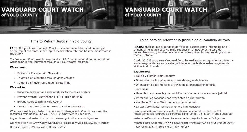 Crowd Sourcing the Vanguard Court Watch Expansion - Davis Vanguard