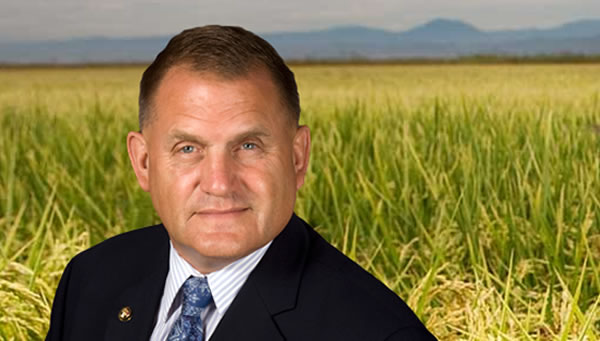 Dodd Gets Governor’s Endorsement While Schaupp Gains Support of Former ...