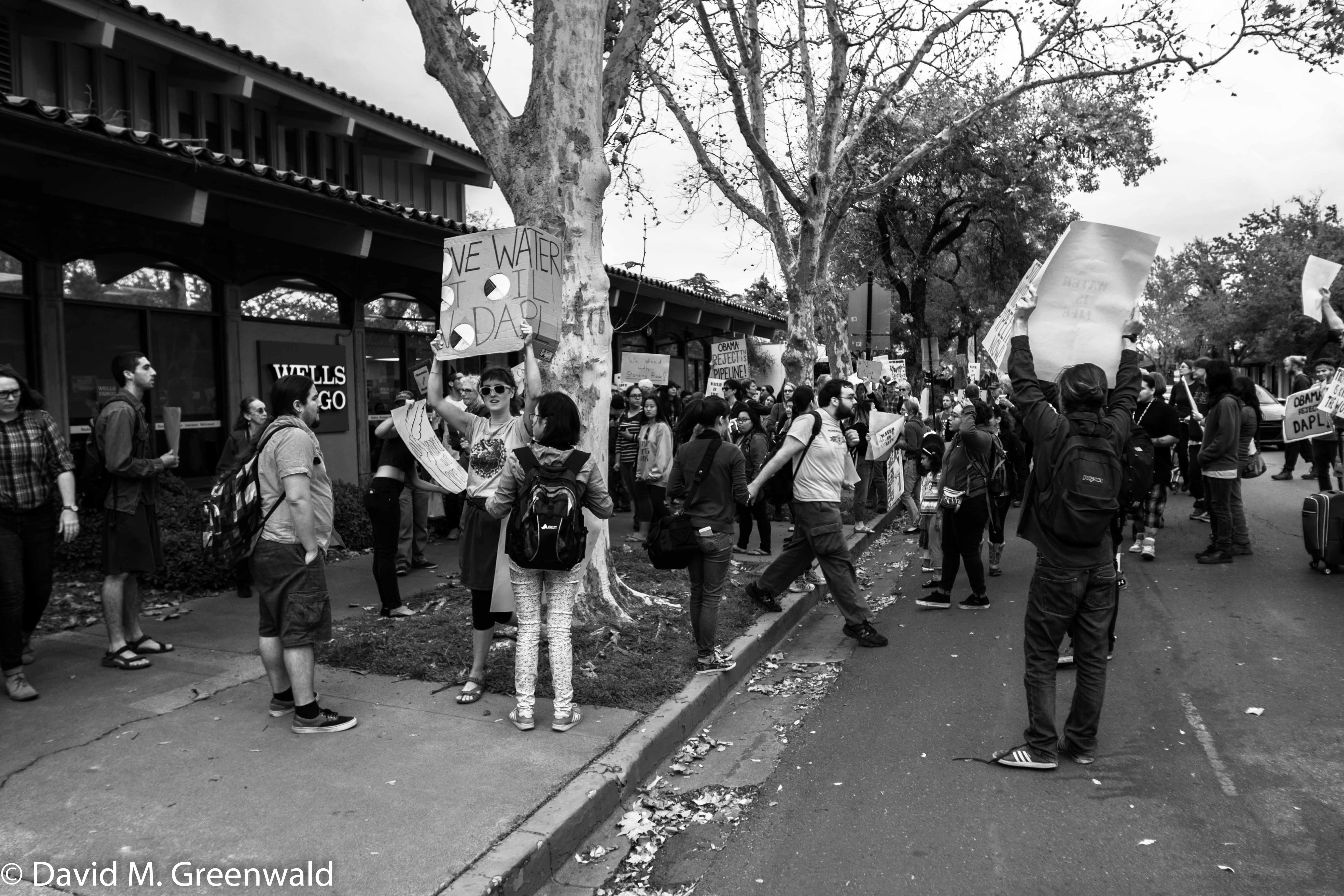 Protesters for DAPL March Around Downtown and Block Intersection ...