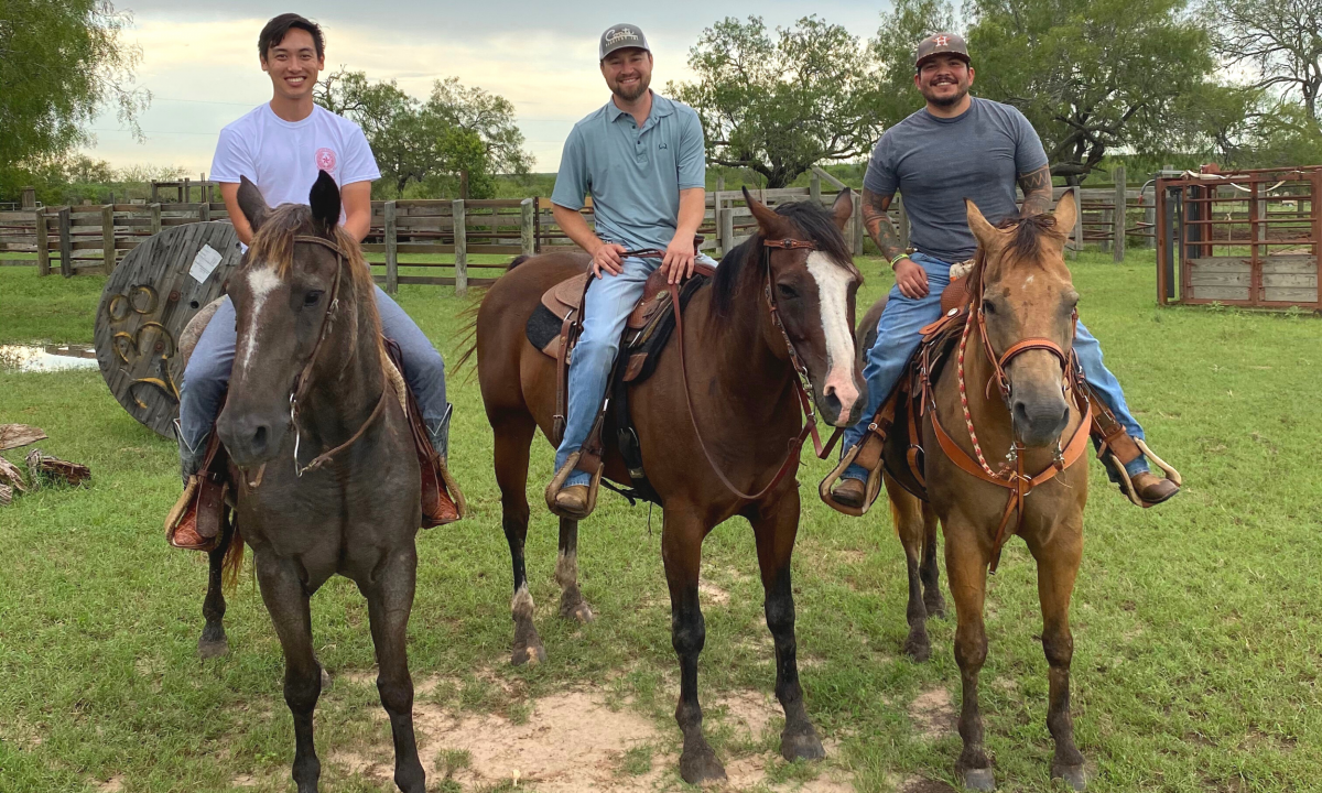 Guest Commentary: Working with the Most Unlikely DA in America Gave Me ...