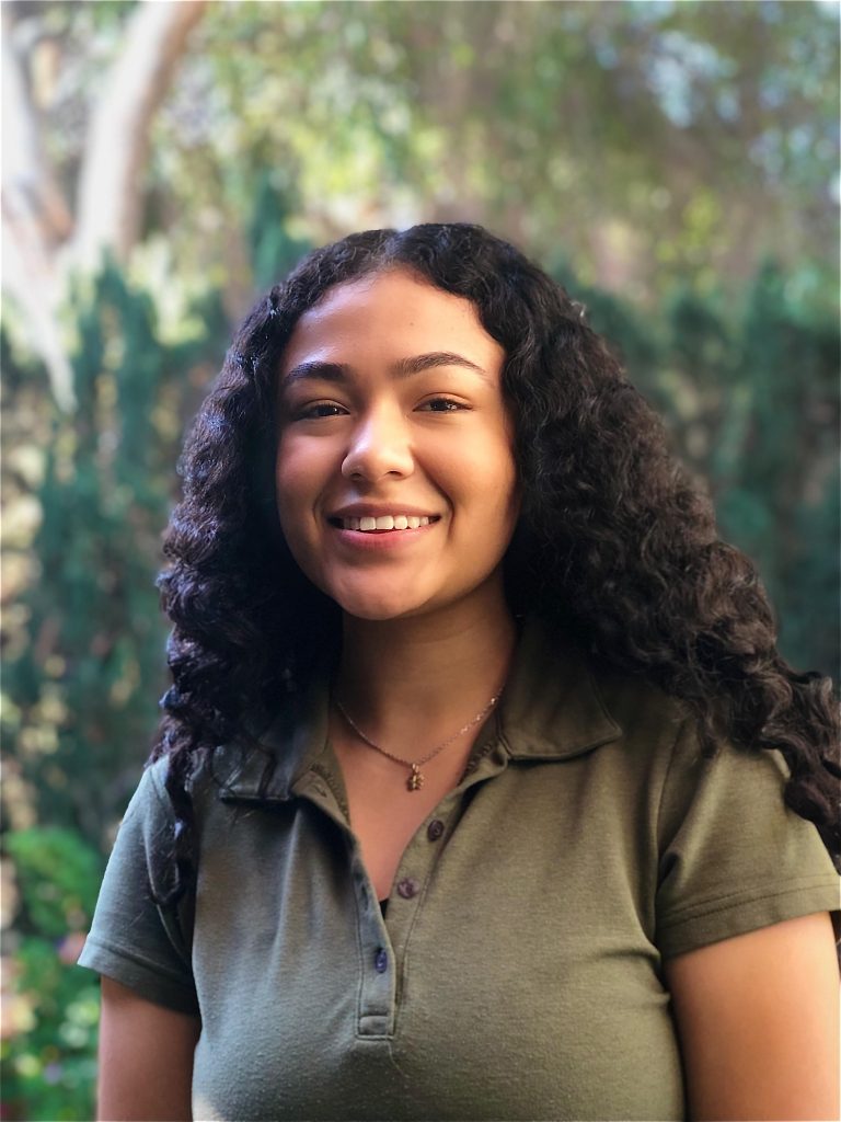 Despite Recommendation, Judge Denies Probation for ‘Youthful’ Defendant ...