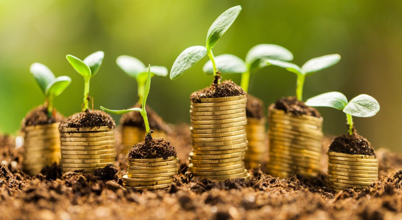 The Green Bank: Benefits the Climate - Davis Vanguard