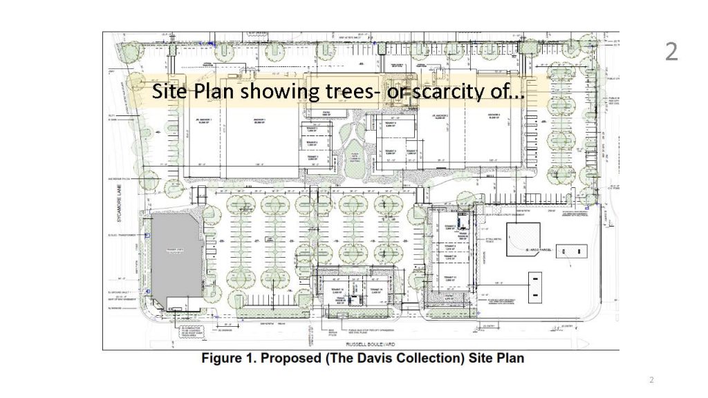 Trees at the Redeveloped University Mall: Refutation of the Vision in ...