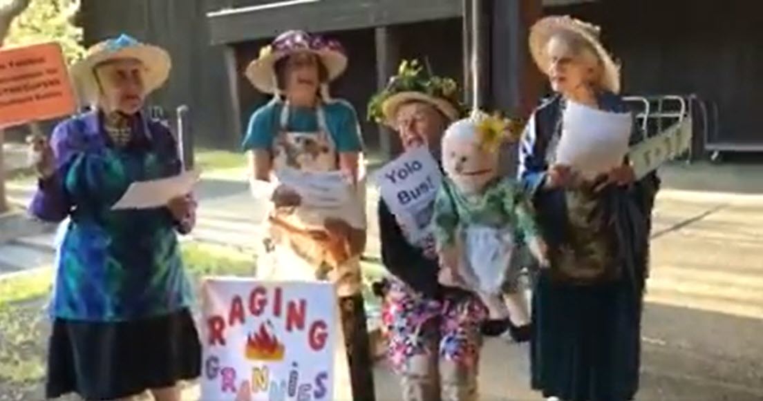Raging Grannies of Davis recruiting new members - Davis Vanguard