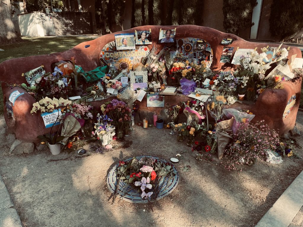 Overwhelming Community Support for David Breaux - Davis Vanguard