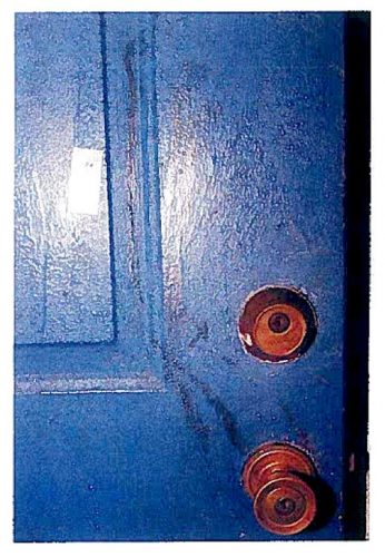 Evidence Shows Scott Dyleski Likely Didn't Murder Pamela Vitale ...