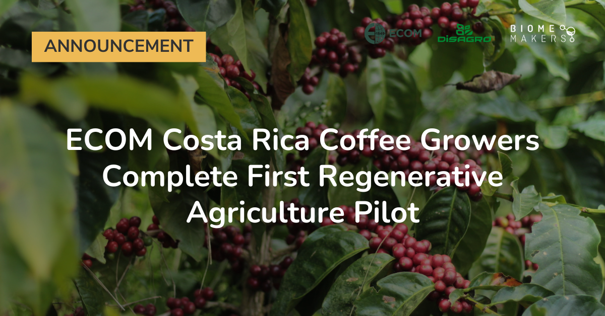Davis Company Develops Technology to Allow Costa Rica Coffee Growers to ...
